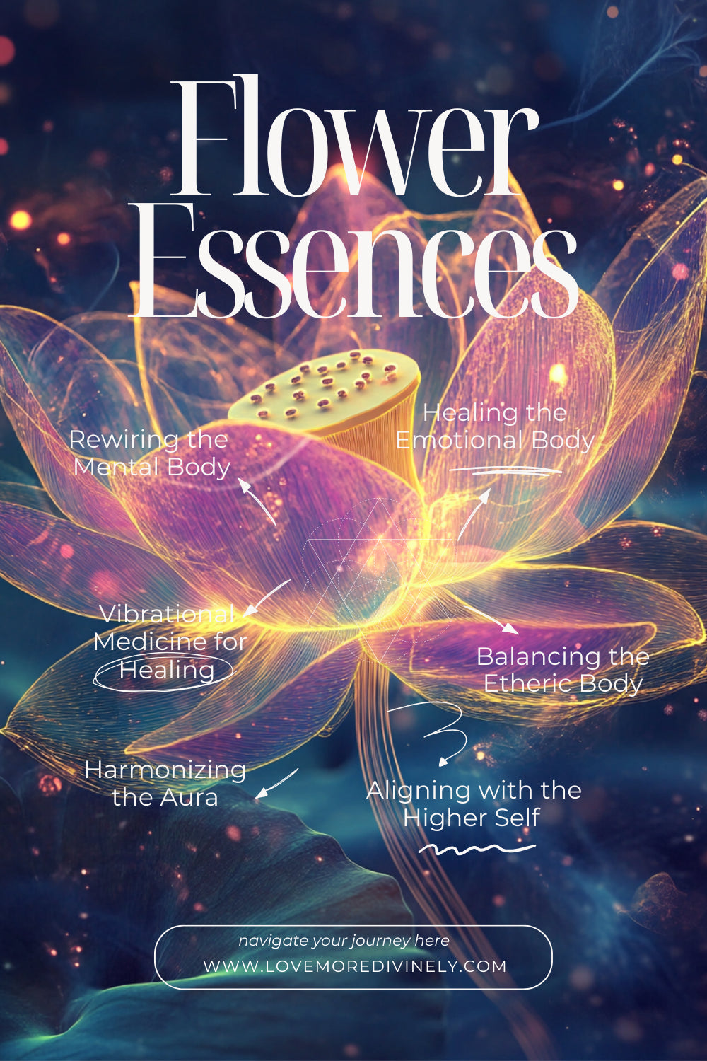 Flower Essences: What They Are & How They Help You Heal from Within ...