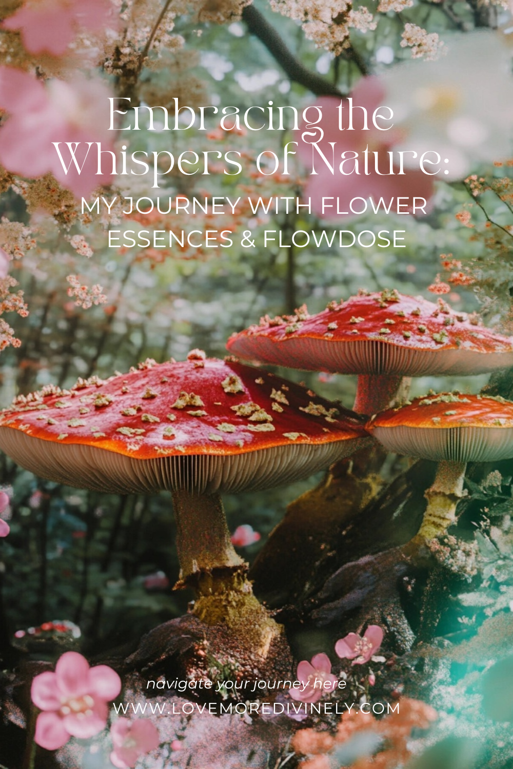 Embracing the Whispers of Nature: My Journey with Flower Essences and ...